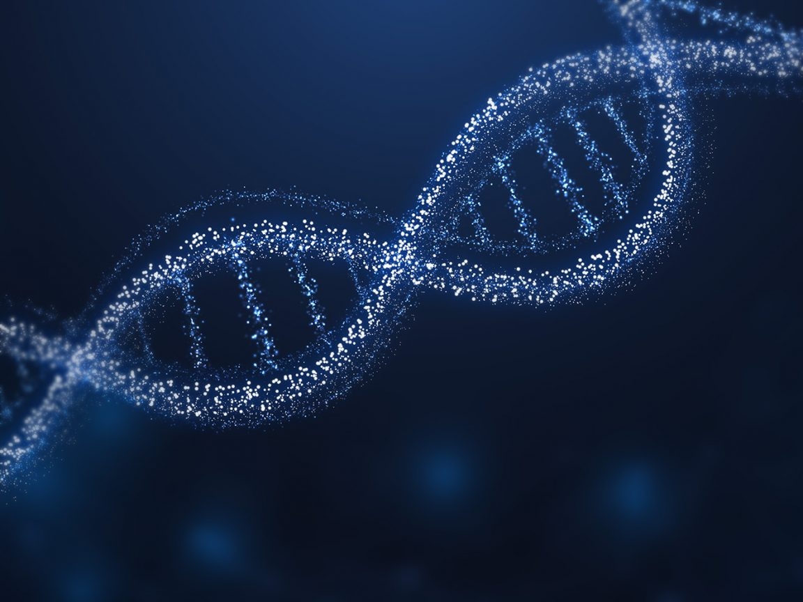 Fenotip dan Genotip