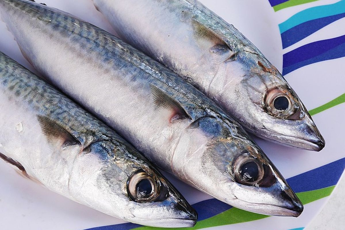 keracunan ikan laut