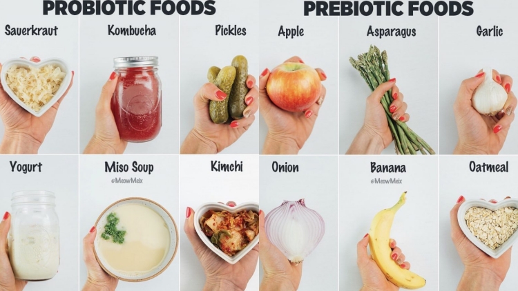 Probiotics and Prebiotics